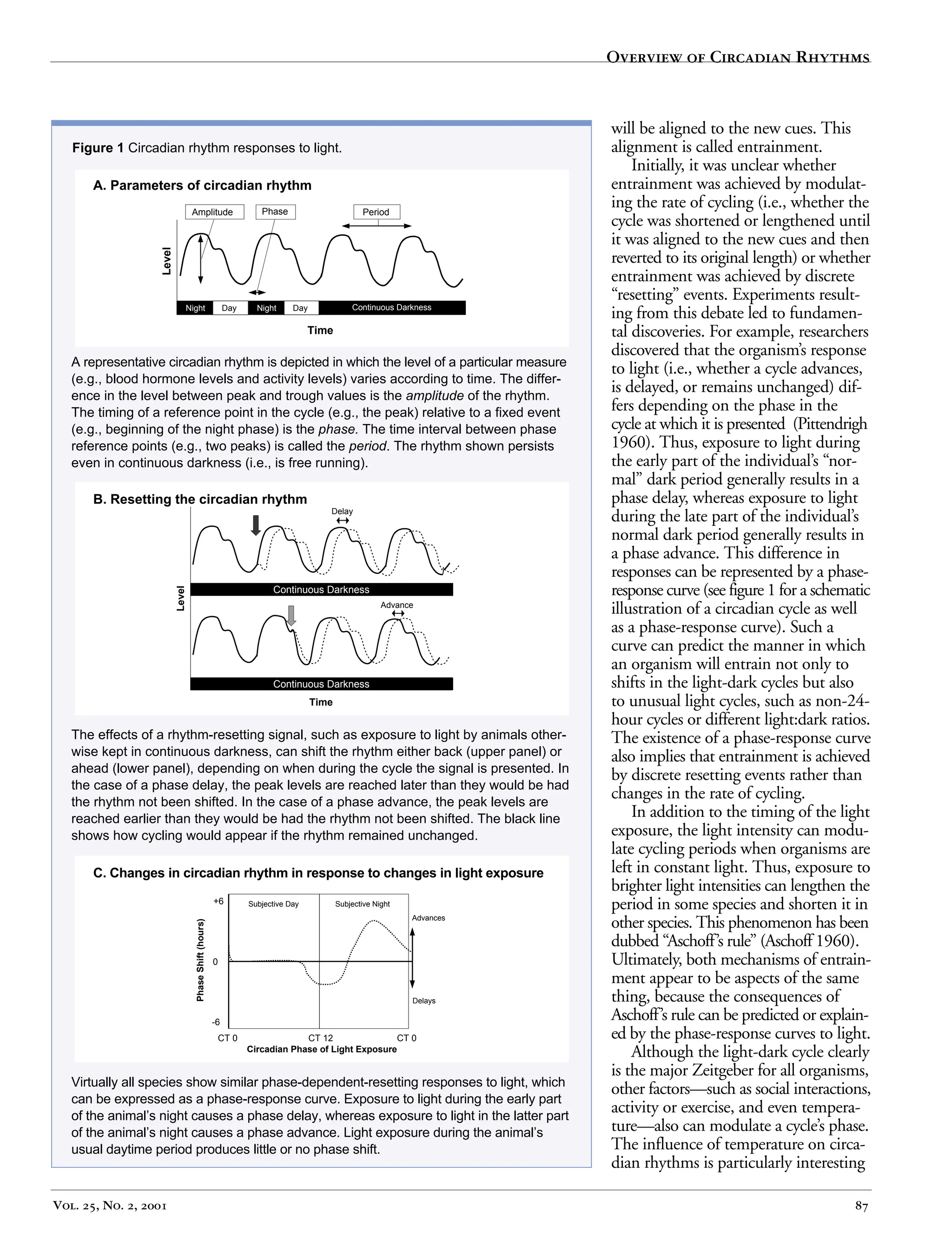 overview-of-circadian-rhythms-5c1zzt5orb.pdf