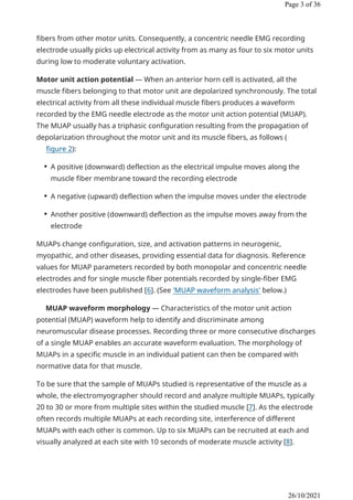 Overview of-electromyography | PDF