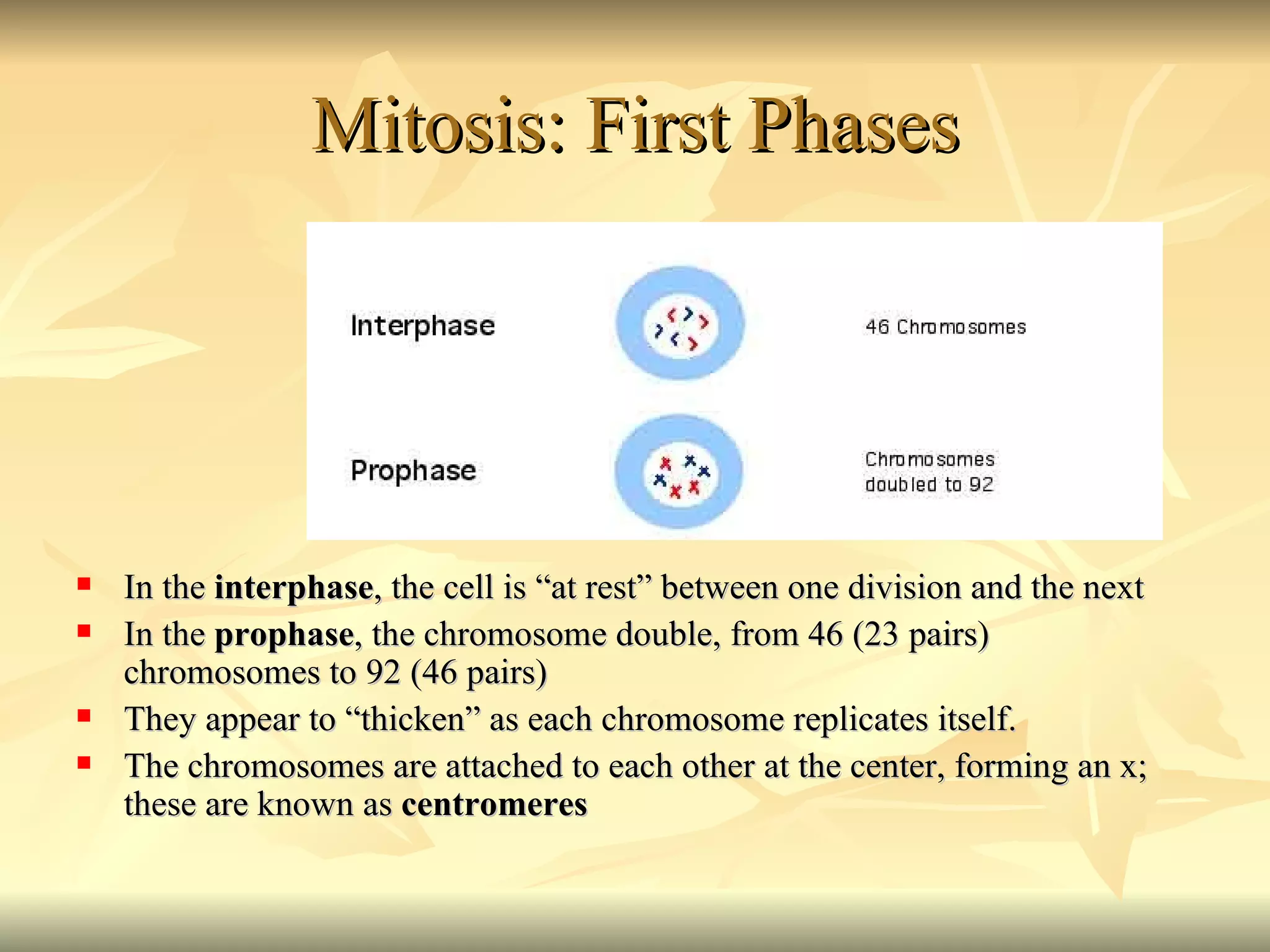 Overview of ;Genetics and Cell Division | PPT