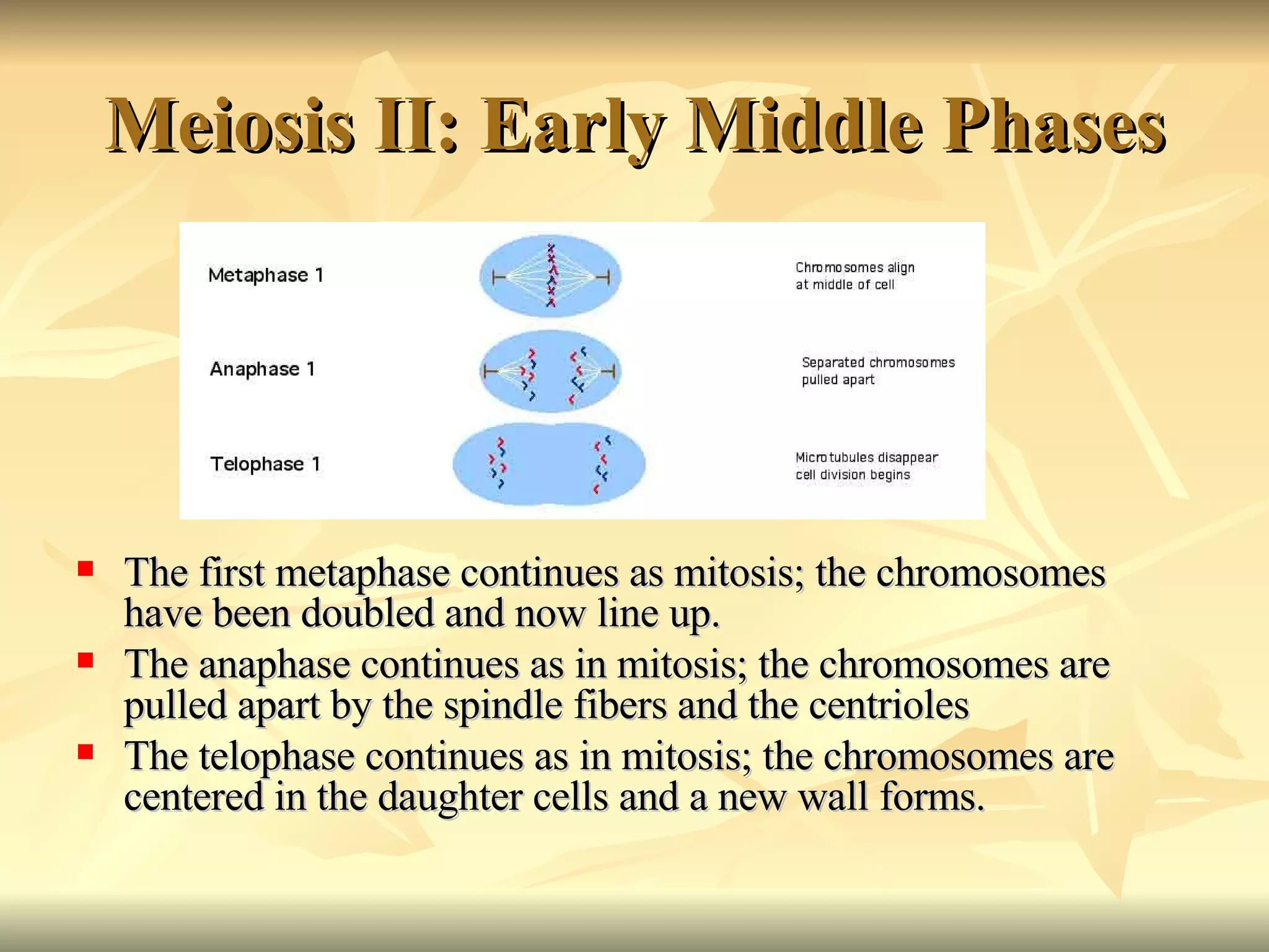 Overview of ;Genetics and Cell Division | PPT