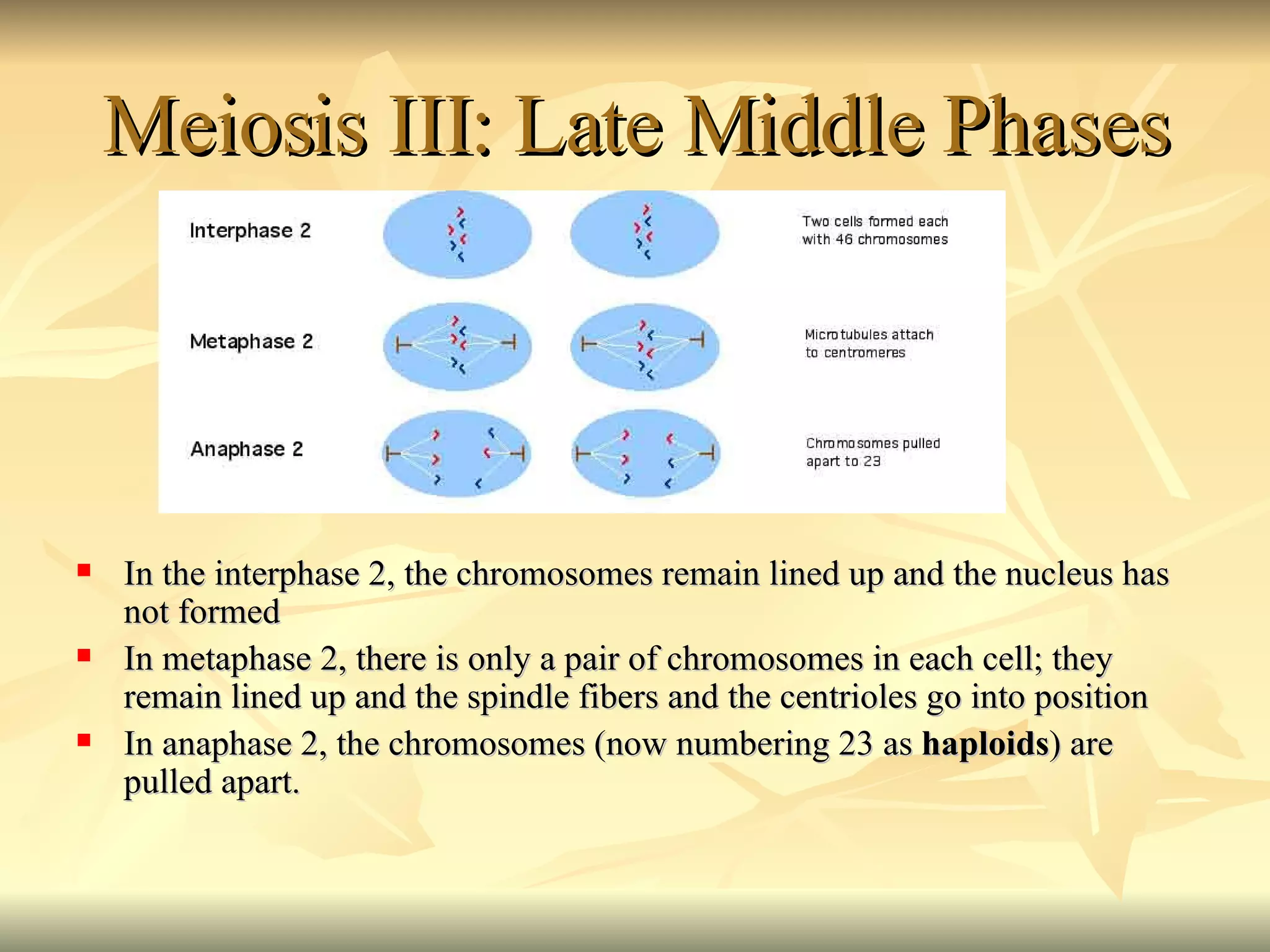 Overview of ;Genetics and Cell Division | PPT