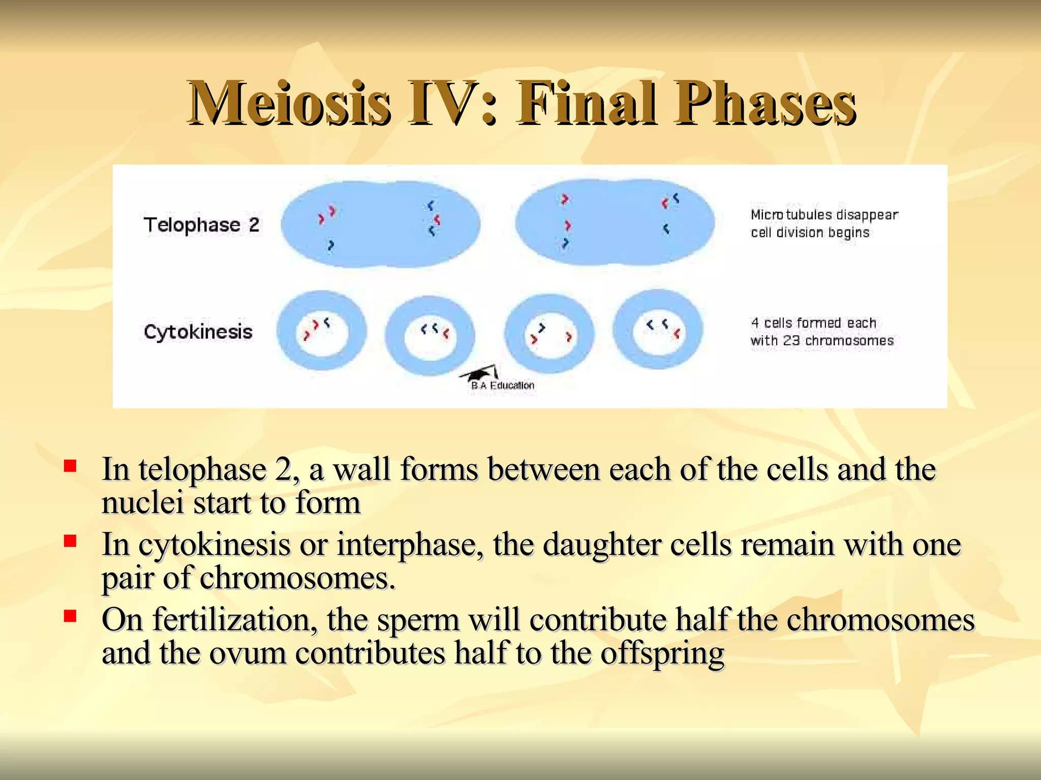 Overview of ;Genetics and Cell Division | PPT