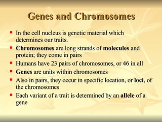 Overview of ;Genetics and Cell Division | PPT