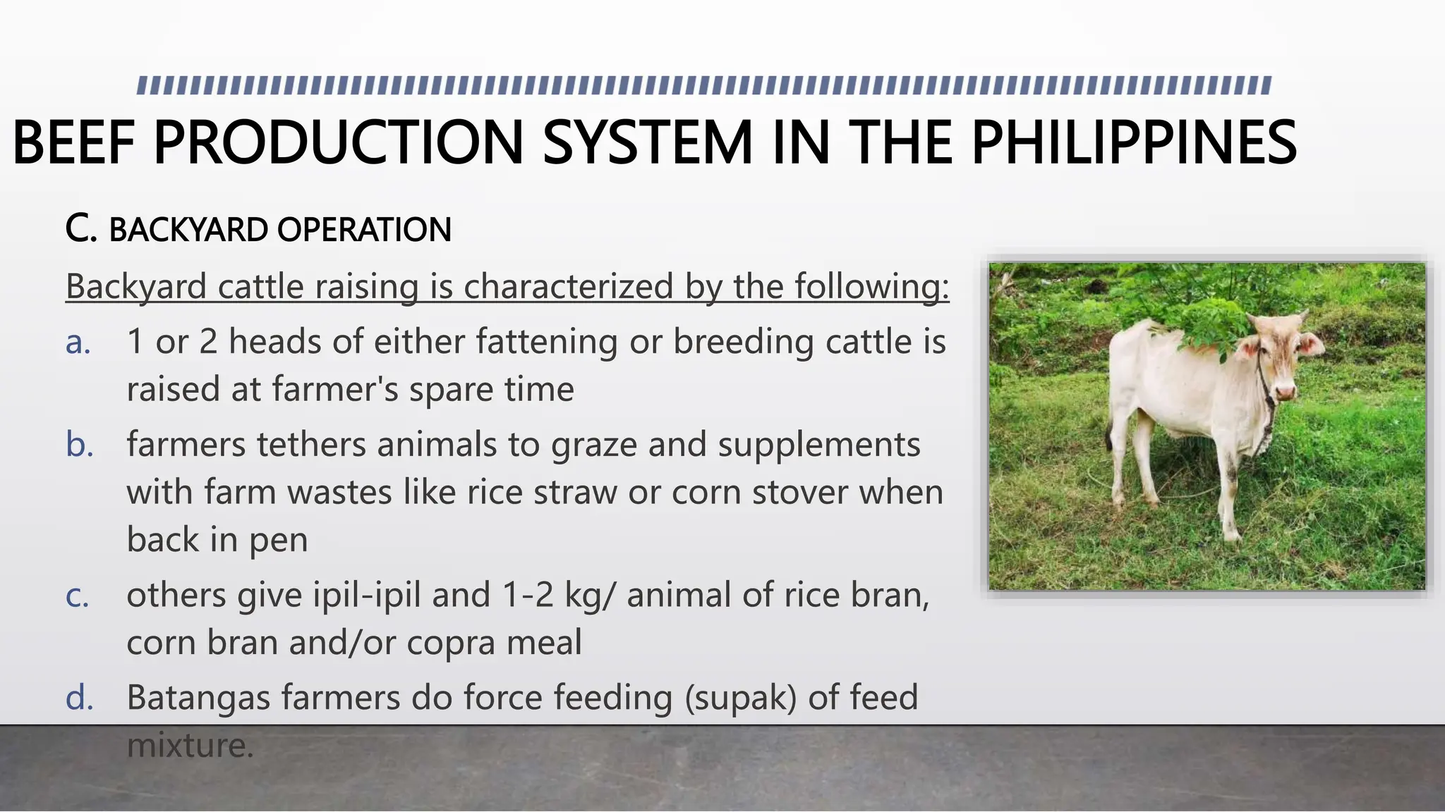 overview-of-the-beef-cattle-industry.pptx