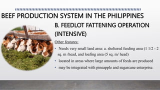 overview-of-the-beef-cattle-industry.pptx | Agriculture | Industries