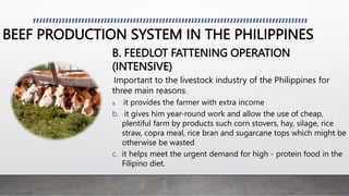 overview-of-the-beef-cattle-industry.pptx | Agriculture | Industries