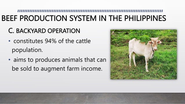 overview-of-the-beef-cattle-industry.pptx | Agriculture | Industries
