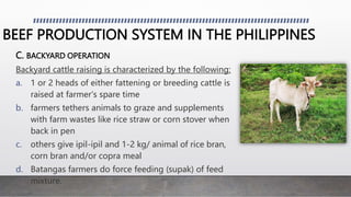 overview-of-the-beef-cattle-industry.pptx | Agriculture | Industries