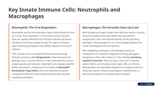 Overview-of-the-Cattle-Immune-System.pptx