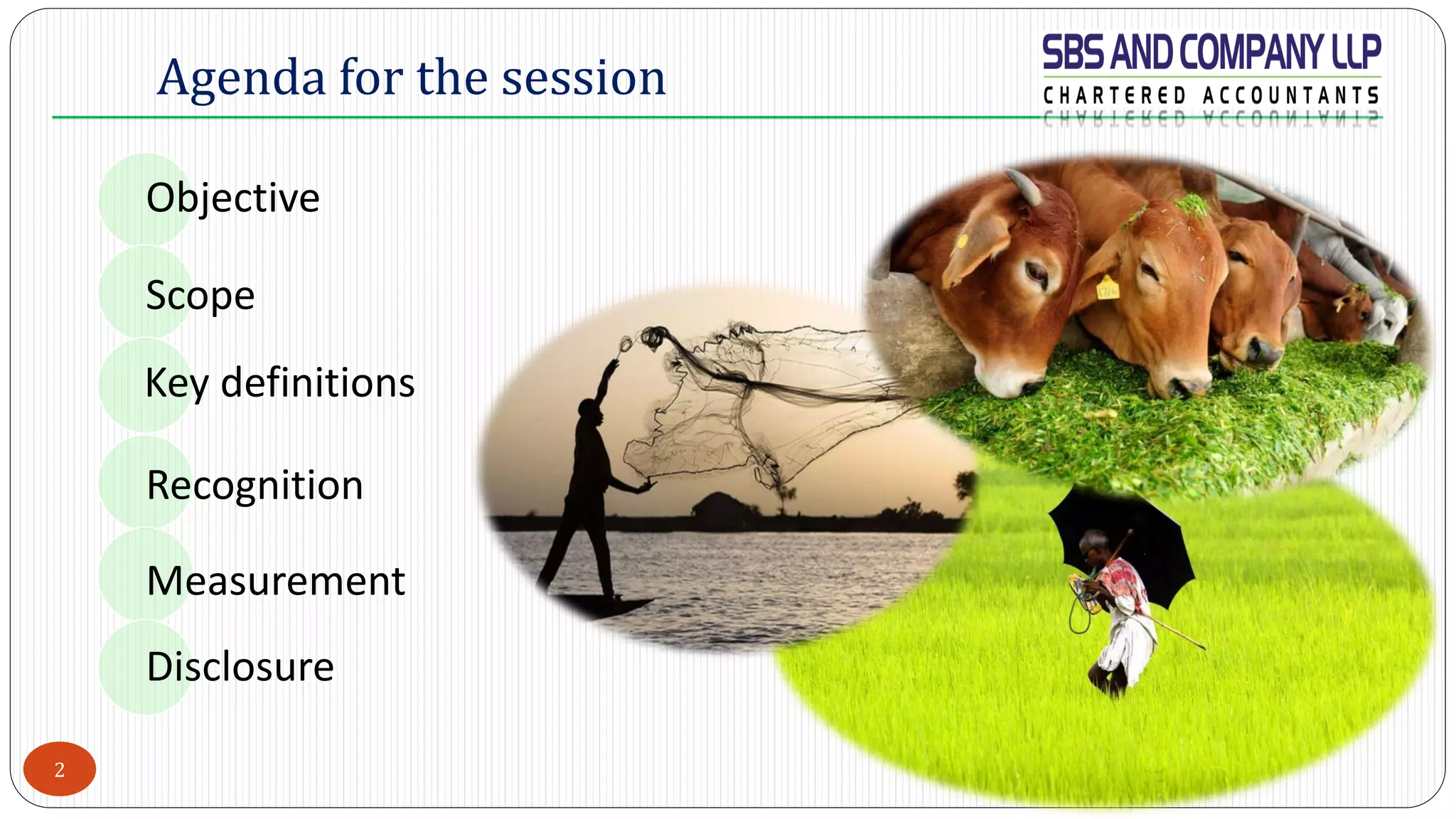 Overview on-ind-as-41-agriculture | PDF