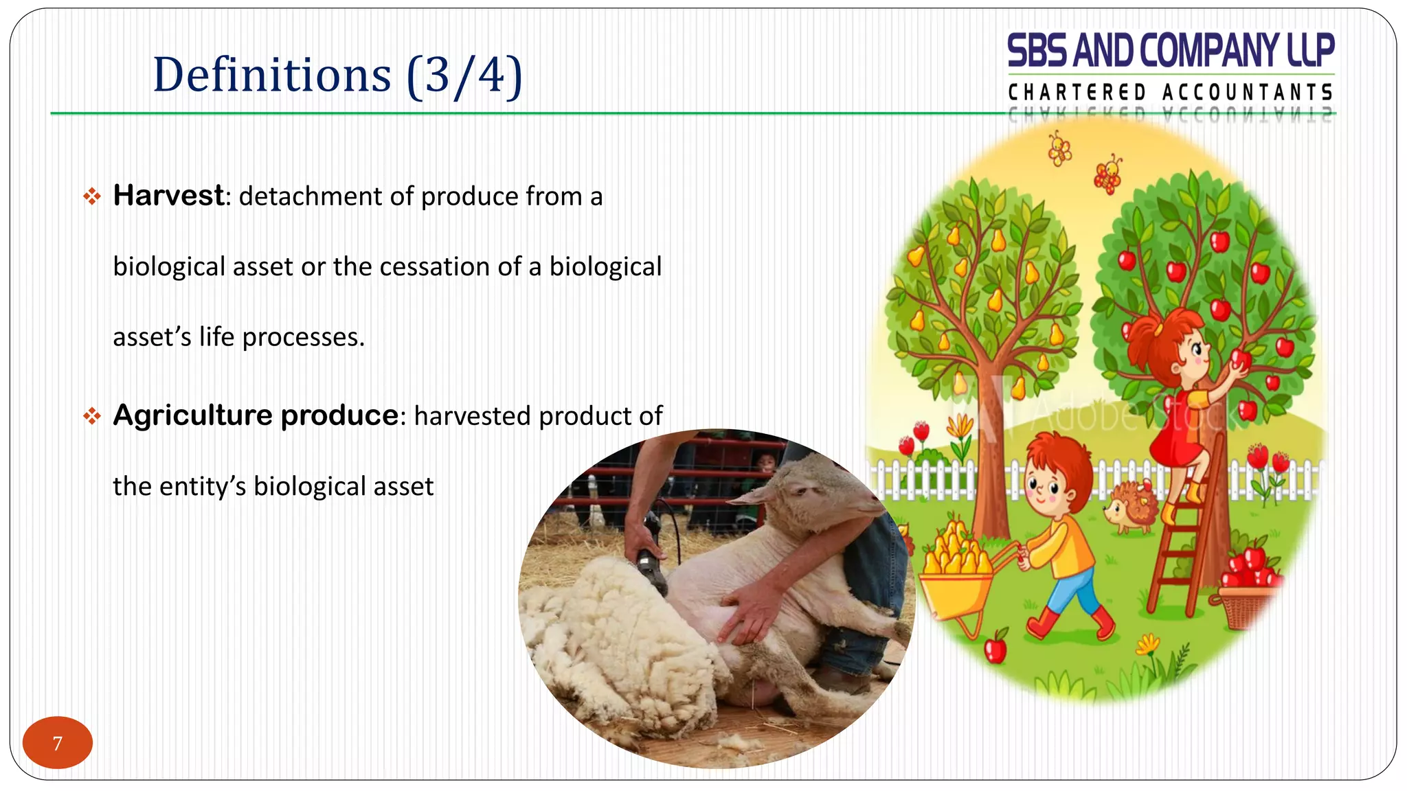 Overview on-ind-as-41-agriculture | PDF