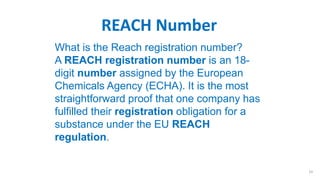 Overview -REACH Trng.pptx