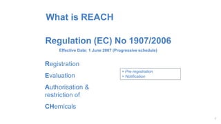 Overview -REACH Trng.pptx