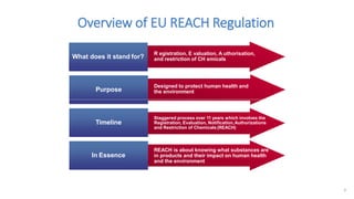 Overview -REACH Trng.pptx