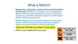 Overview -REACH Trng.pptx