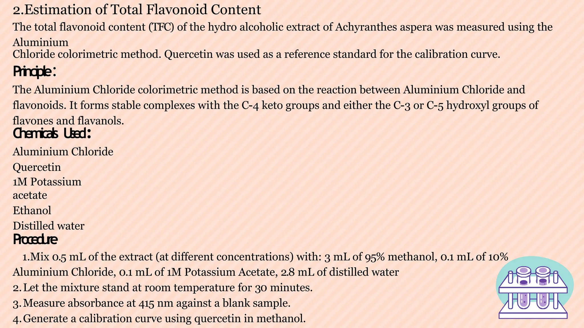 Project Overview_20250630_110449_0000.pptx