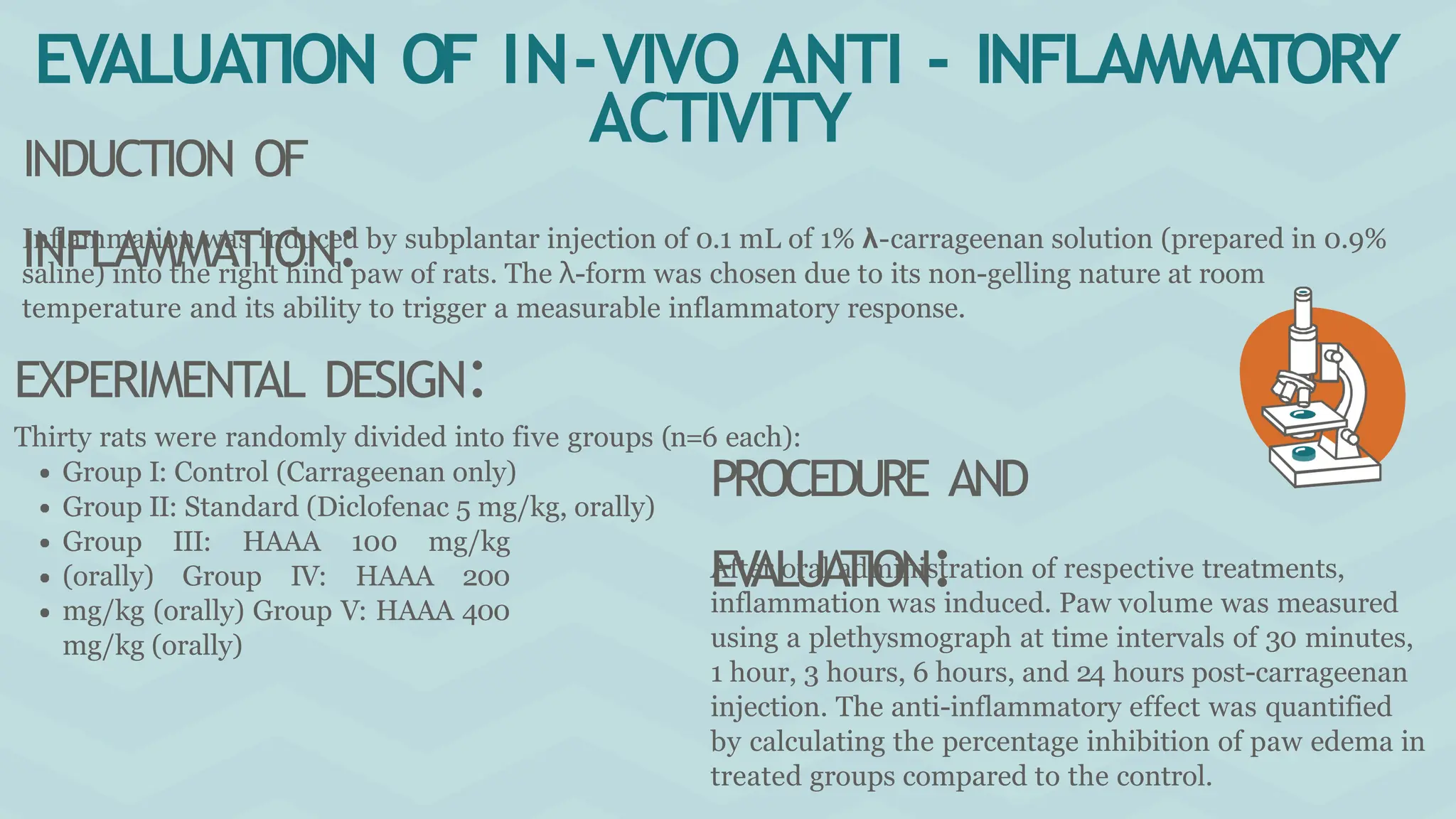 Project Overview_20250630_110449_0000.pptx