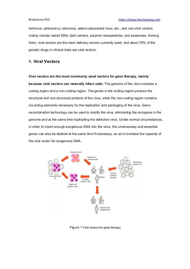 Overview and vectors for gene therapy | PDF