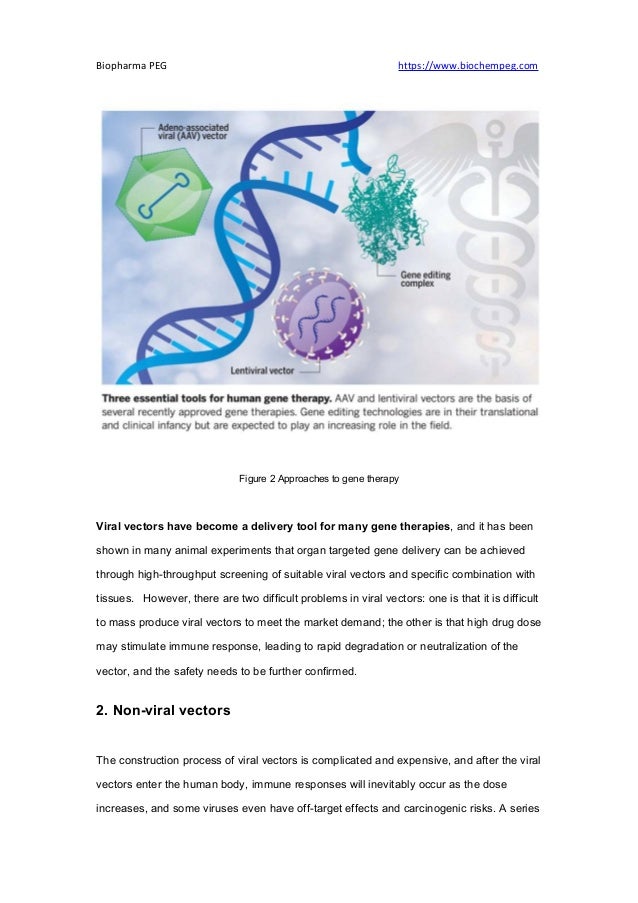 Overview and vectors for gene therapy | PDF