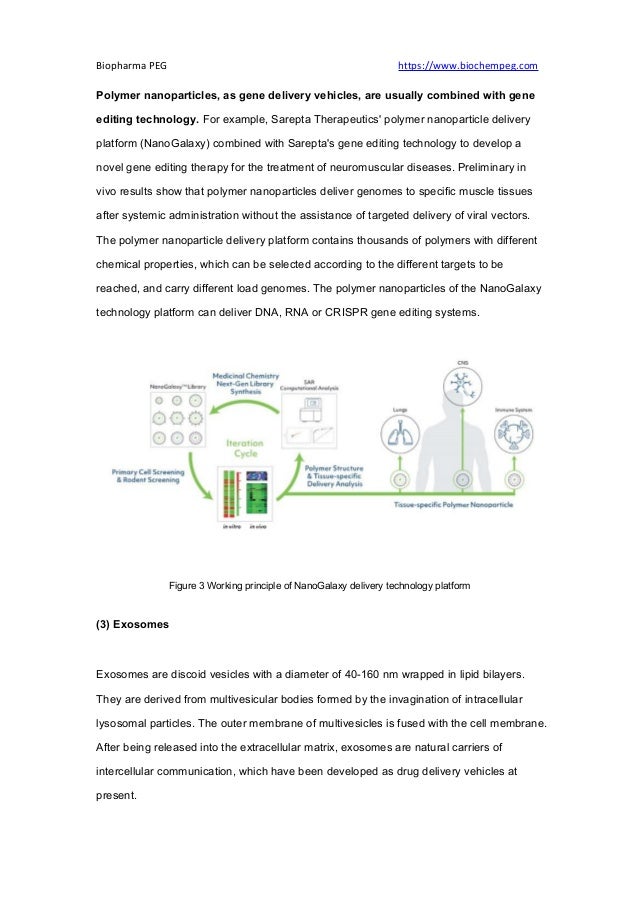 Overview and vectors for gene therapy | PDF