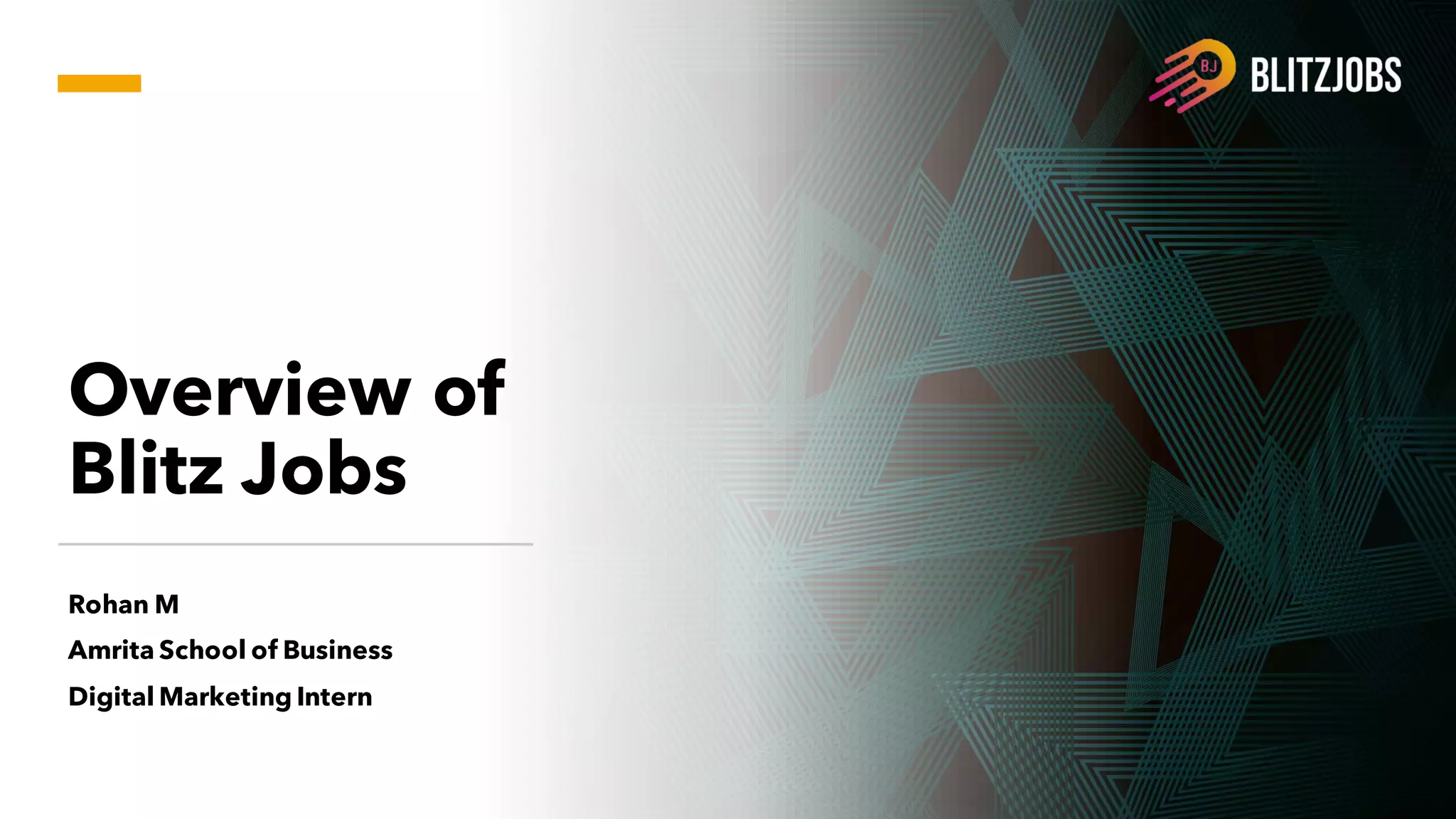 Overview of Blitz Jobs | PDF