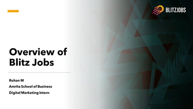 Overview of Blitz Jobs | PDF | Job Search | Careers