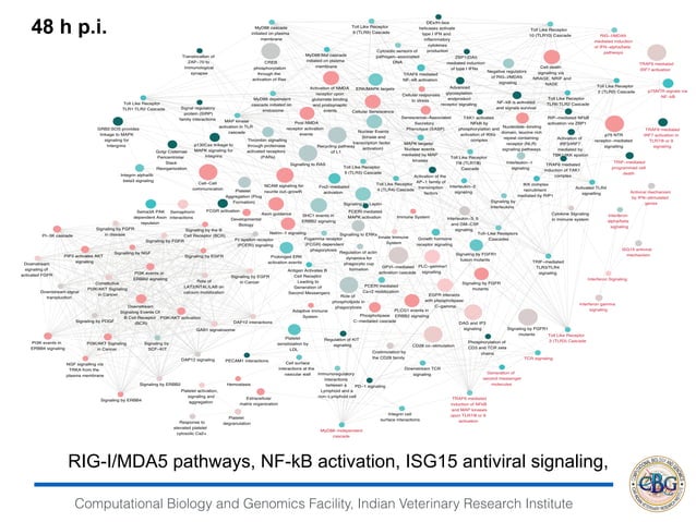 NGS data analysis Overview | PDF | Biological Sciences | Science