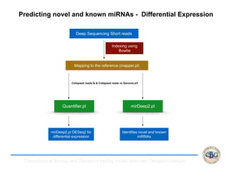 NGS data analysis Overview | PDF