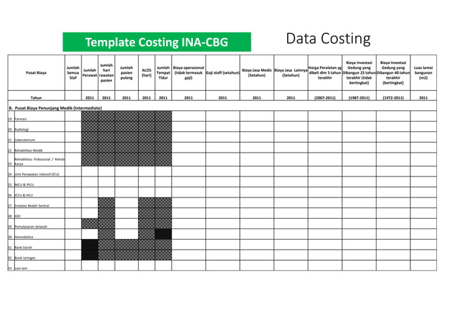 Overview inacbg | PDF