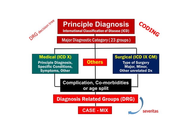 Overview inacbg | PDF