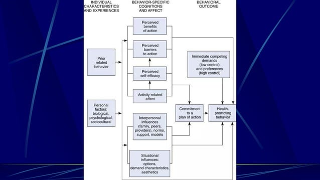 Overview in Community Health Nursing 2.pdf | Medical Health