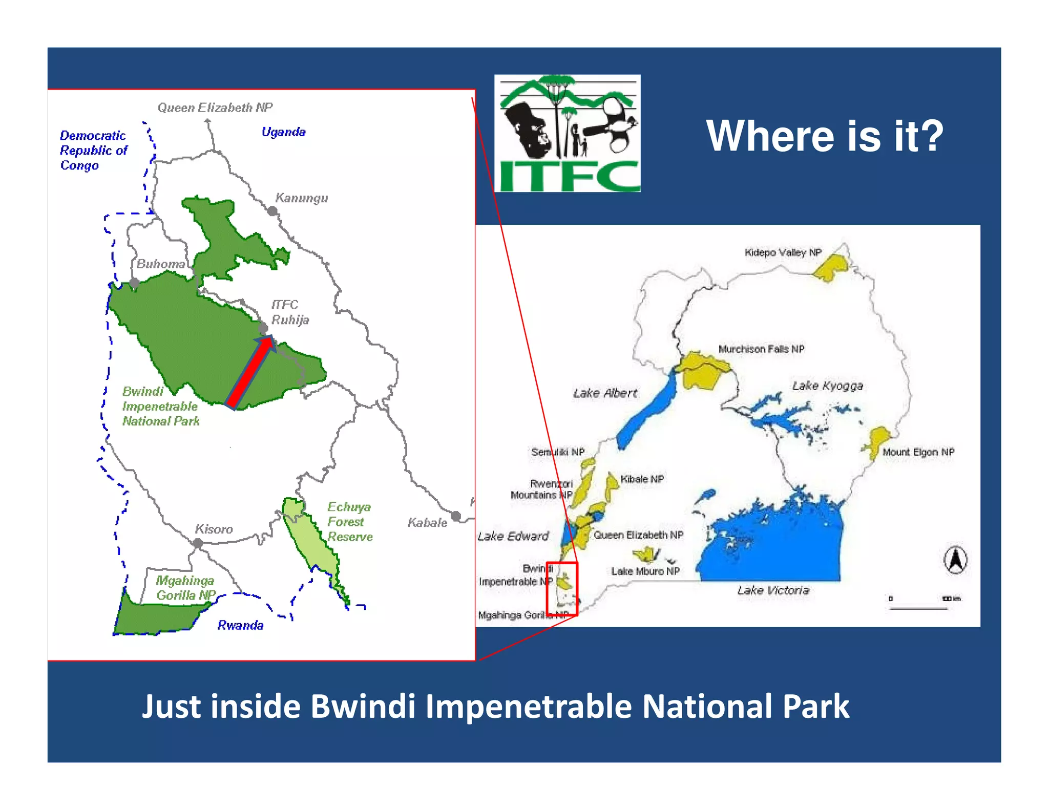 Overview of the Institute of Tropical Forest Conservation (ITFC) Uganda ...