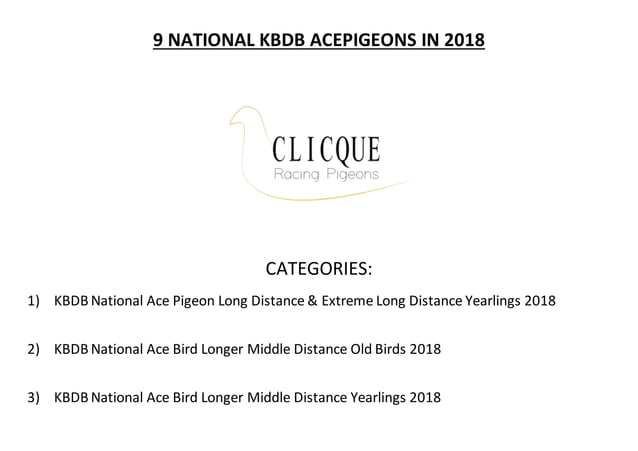 Clicque Gino Overview kbdb acepigeons 2018 | PPT