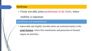 overview of A AND PHY.pptx