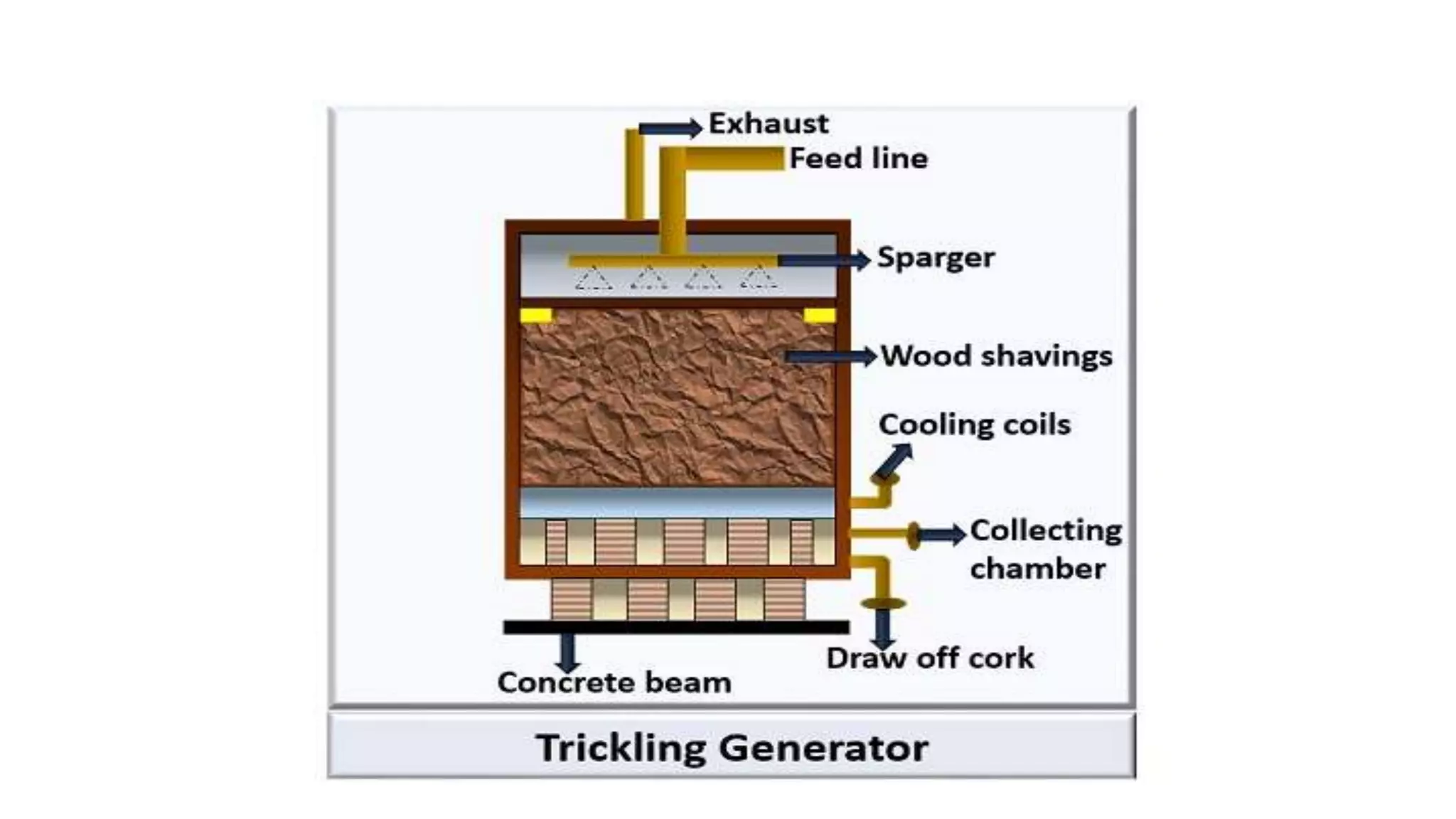 Overview of acetic acid fermentation. | PPTX