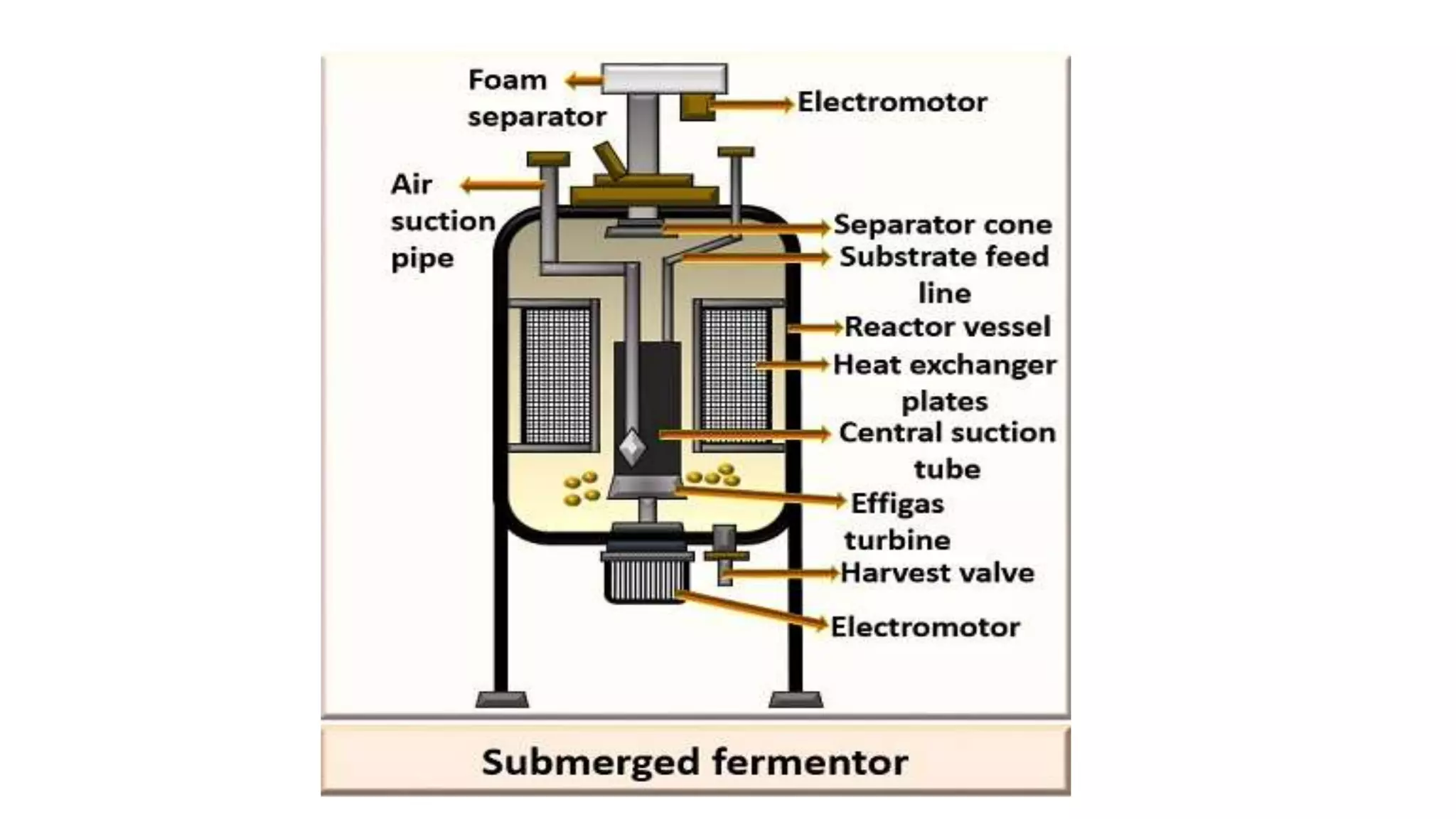Overview of acetic acid fermentation. | PPTX