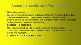 Overview of acetic acid fermentation. | PPTX