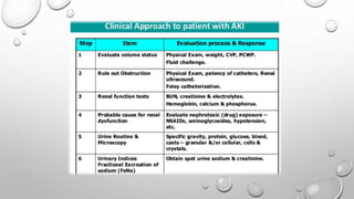 Overview of acute kidney injury (AKI) | PPTX