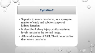 Overview of acute kidney injury (AKI) | PPTX