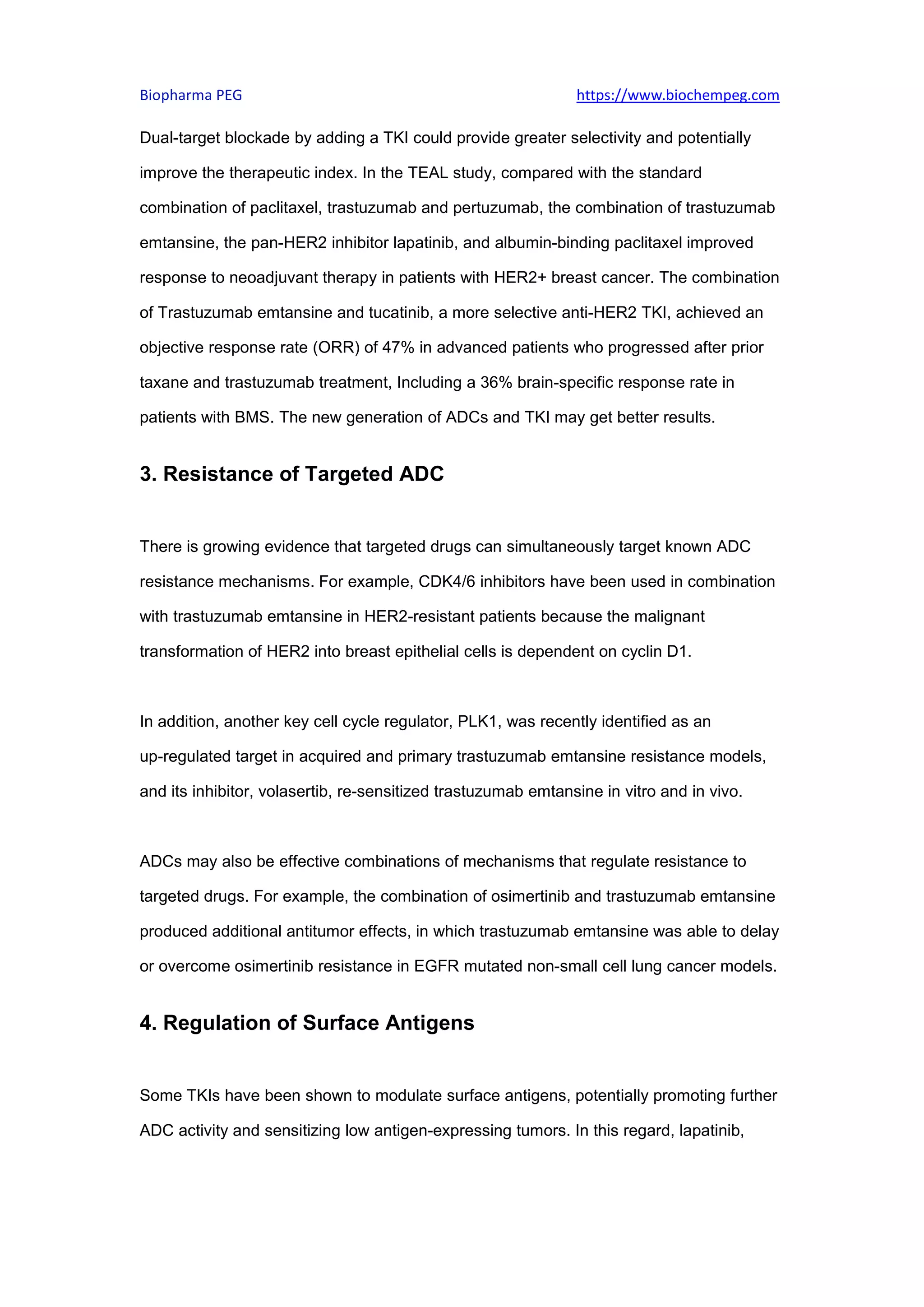 Overview of ADC-Based Combination Therapies.pdf