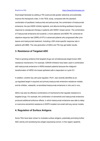 Overview of ADC-Based Combination Therapies.pdf
