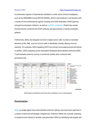 Overview of ADC-Based Combination Therapies.pdf