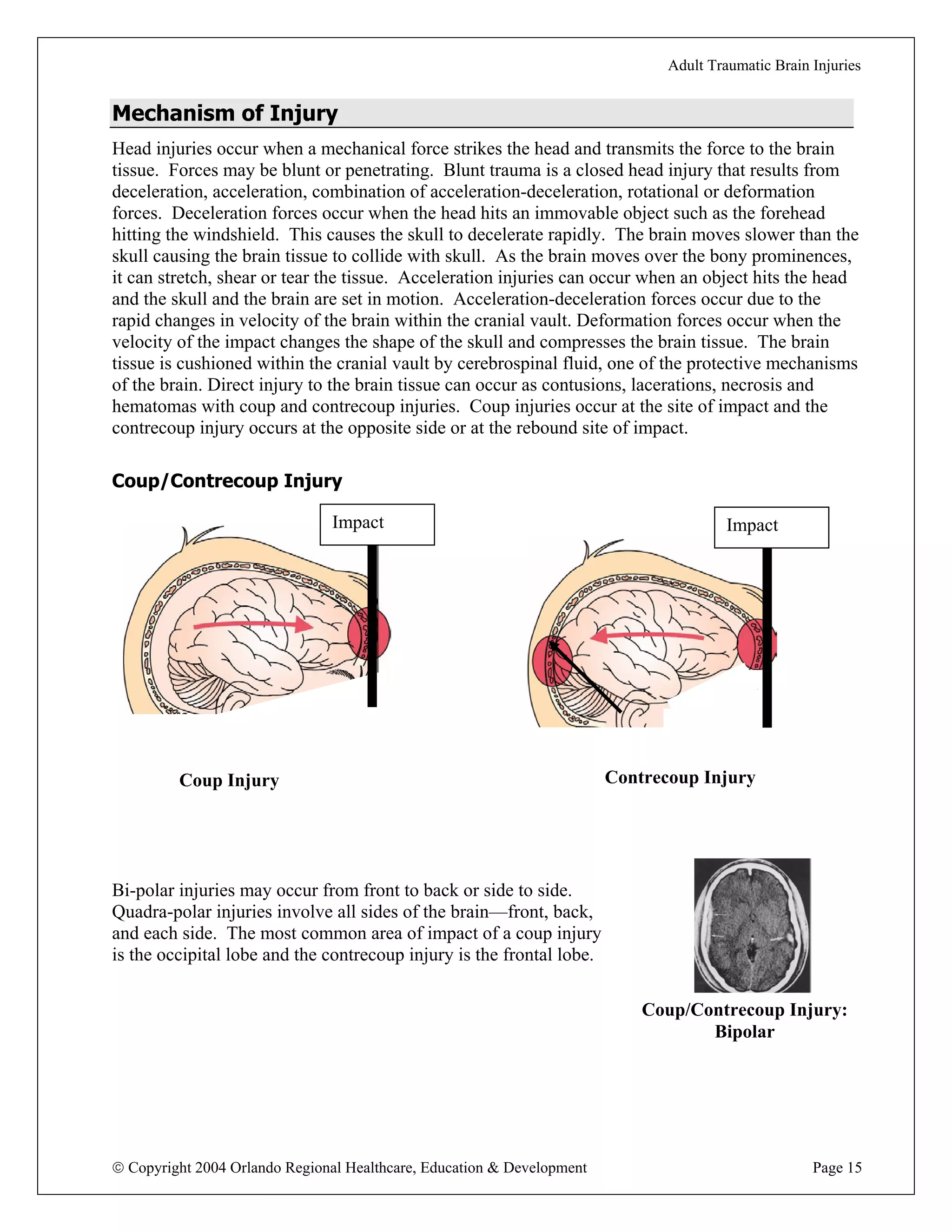 Overview of adult traumatic | PDF | Death, Injury, or Military Conflict ...
