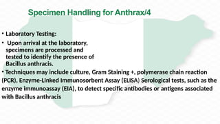 overview of Anthrax specimen collection_011033.pptx