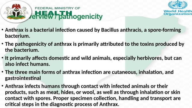 overview of Anthrax specimen collection_011033.pptx