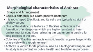 overview of Anthrax specimen collection_011033.pptx