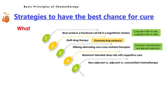 Overview of Antineoplastic Agents and Cell Cycle (SIOP Africa.pptx