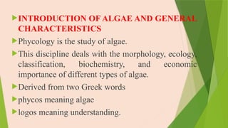 AN OVERVIEW OF APPLIED PHYCOLOGY. pptx . | PPTX