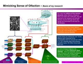 Snapshots of The Research Projects | PDF