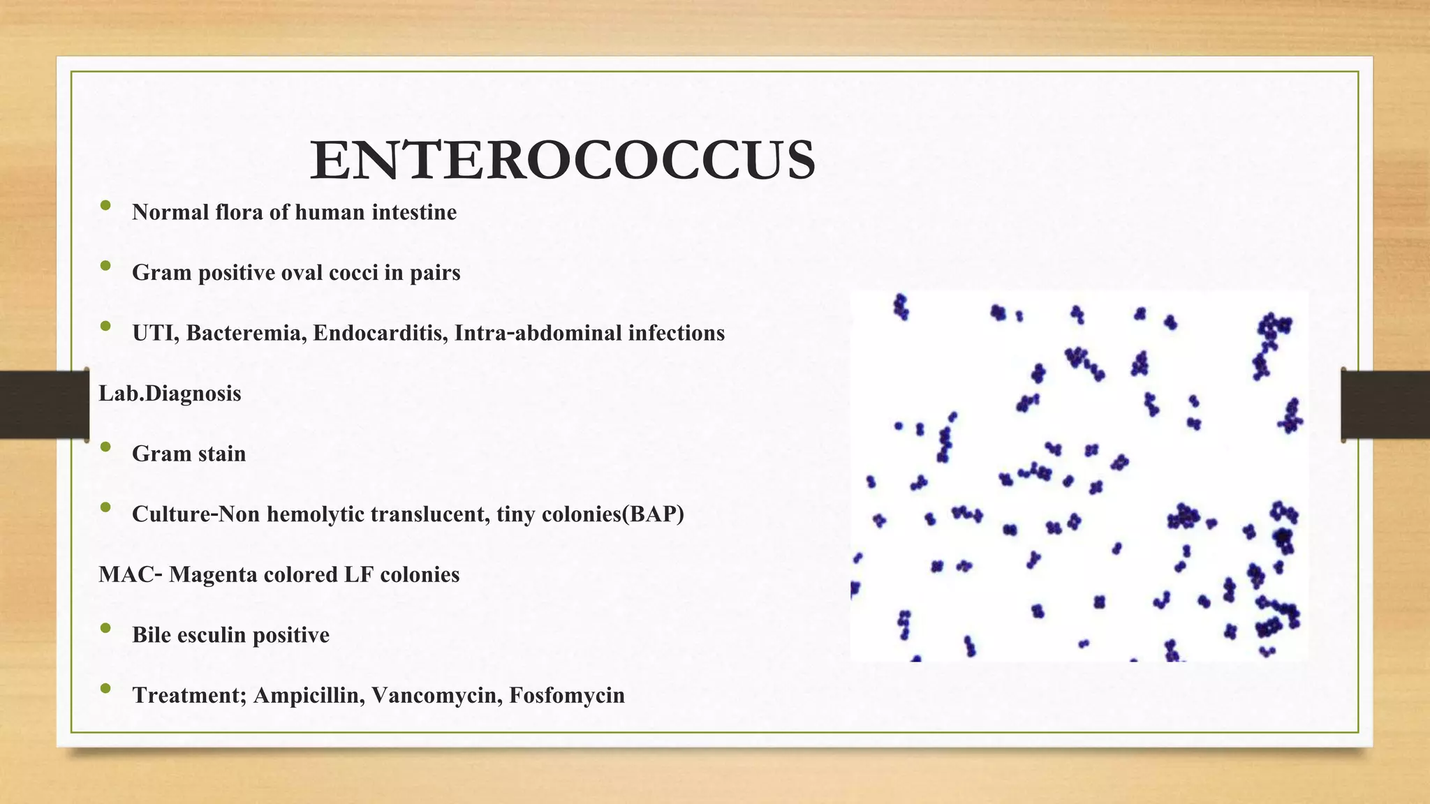Overview of bacterial infections | PPTX